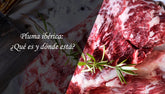 Pluma ibérica: ¿Qué es y dónde está?